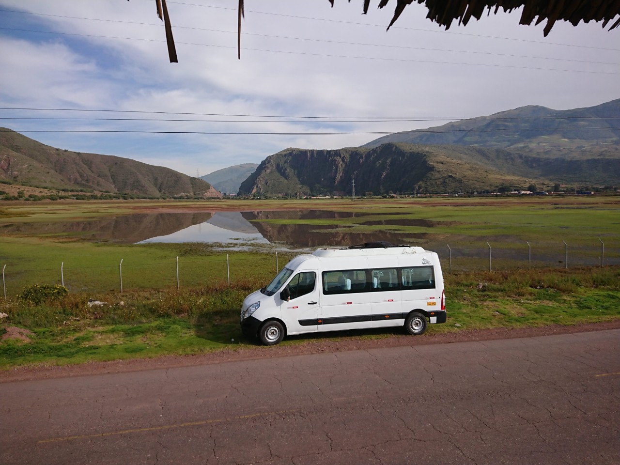 Birdwatching in Peru: The famous Manu Road - Albicilla Explorer